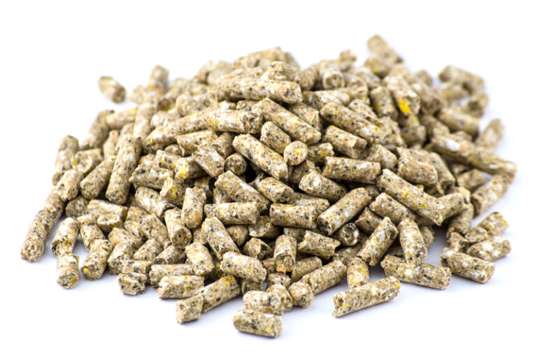 Biologisches Futter – Freisl Kraftfutter GmbH